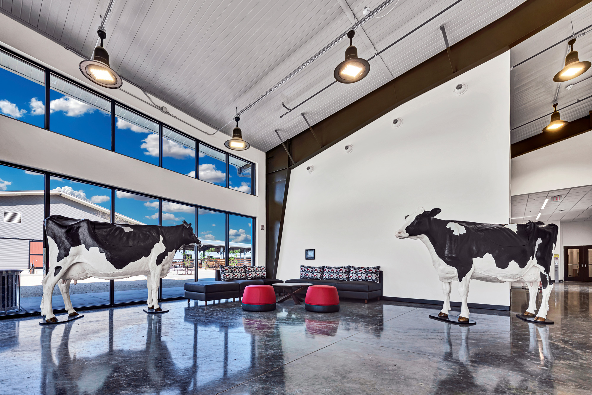 Veterinary School Texas Tech at Michael Rushing blog